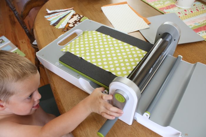 Accuquilt Go Cutter Review Diary of a Quilter a quilt blog