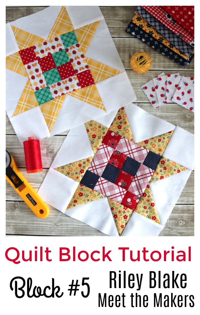 Meet the Makers Quilt Block Tutorial #5 - Diary of a Quilter - a quilt blog