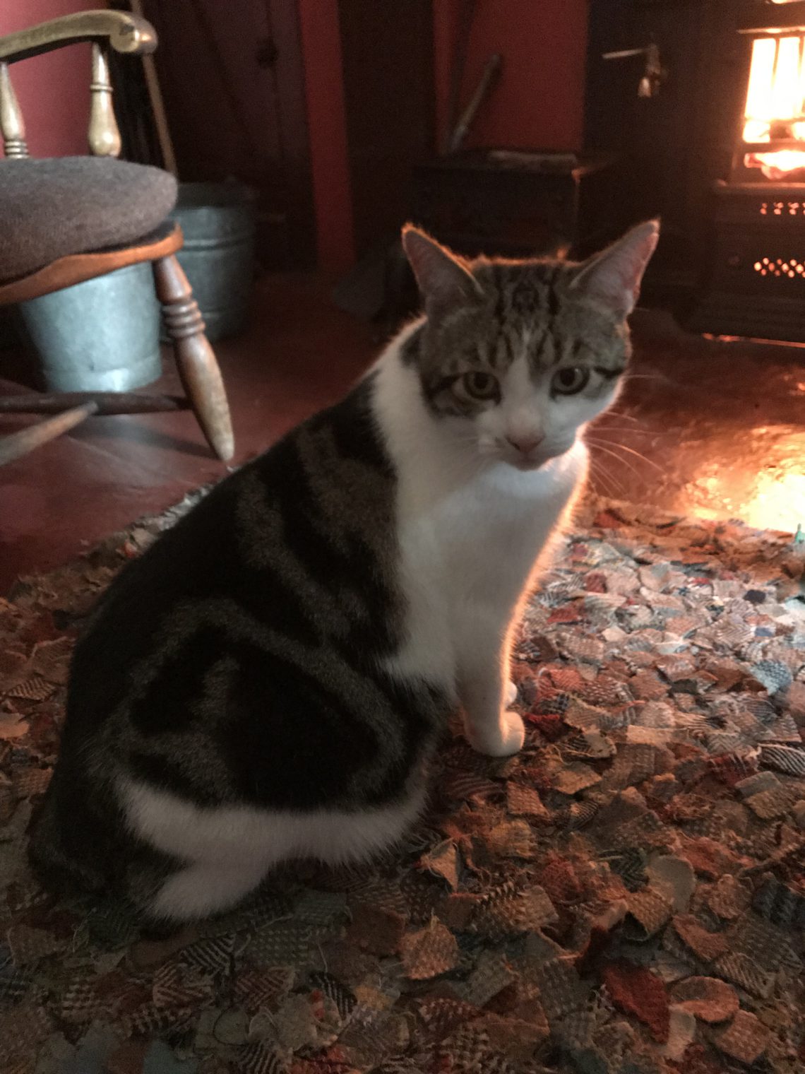 Manx Quilting from the Isle of Man - Diary of a Quilter - a quilt blog