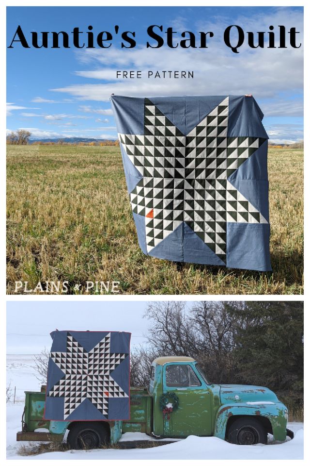 Free Pattern - Half-Square Triangle Star Quilt - Diary of a Quilter - a ...