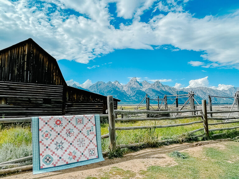 Free Sampler Quilt + Irish Chain Layout - Diary of a Quilter - a quilt blog