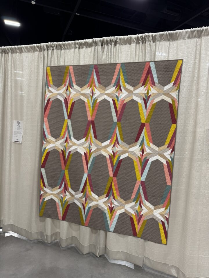 Quilt Con 2025 Recap - Diary of a Quilter - a quilt blog