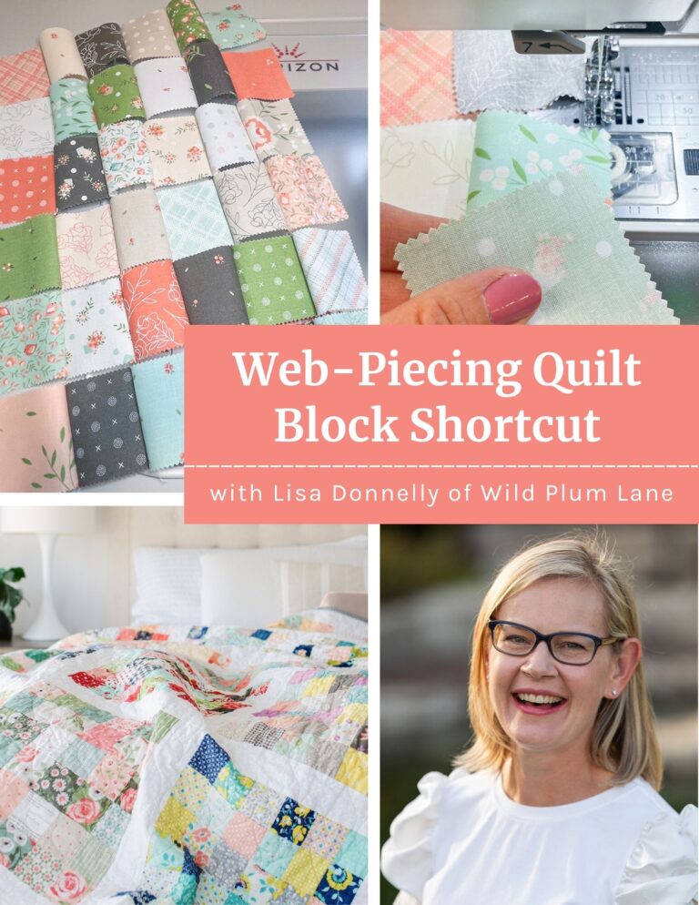 Web-Piecing - a Quilting Shortcut - Diary of a Quilter - a quilt blog